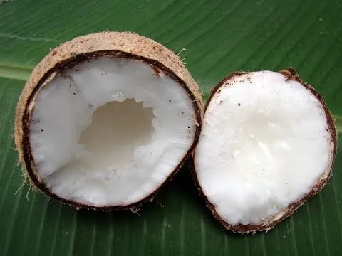 Makapuno Coconut - Sweet, Creamy, and Fresh from Vietnam