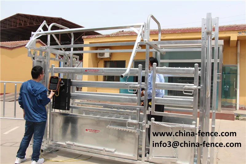 Galvanized Cattle Panel Squeeze Crush Cattle Handling Equipment With ...