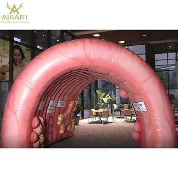 Giant Inflatable Colon,Custom Inflatable Organ Tunnel - Buy Inflatable ...