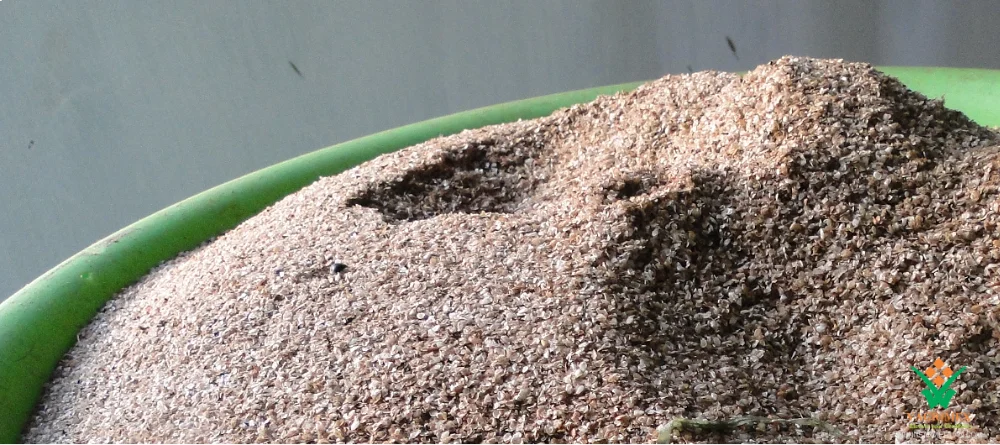 Wholesale Sesame Husk - Dry Sesame Husk for Sale