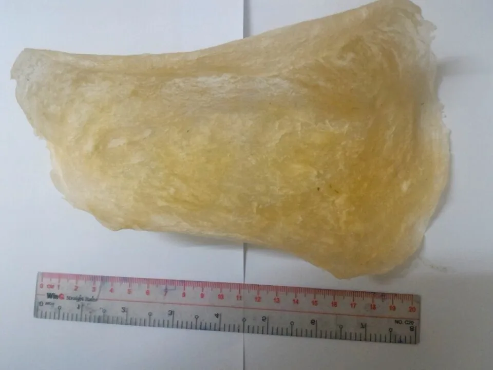 Croaker Fish Maw - Dried Fish Bladder from Viet Delta