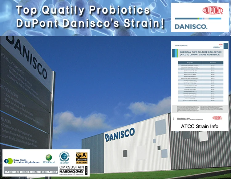 Dupont Danisco's Strain Using Nupharm Live Lactobacillus Probiotics For ...