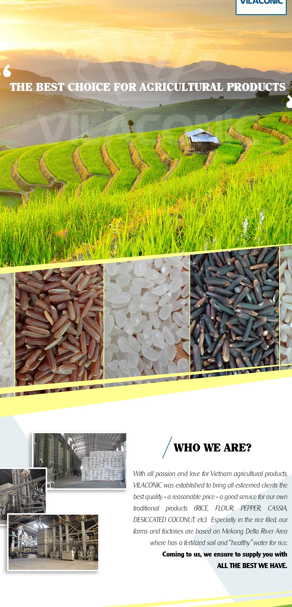 VILACONIC - VIET NAM RICE,RICE PRODUCTS