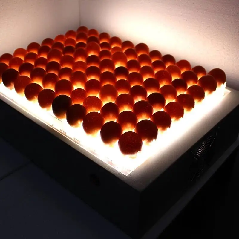 Led Cold Illuminated Ce Approved Egg Incubator Tester /88pcs Egg Tester ...