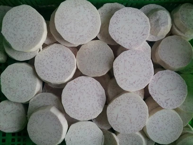 The Best Price For Fresh Taro- Frozen Taro With High Quality 2021 +84 ...