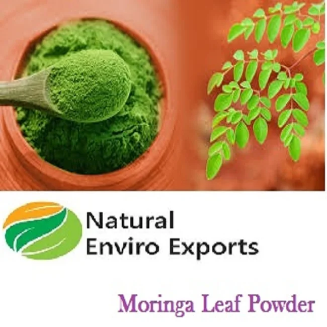 Moringa Leaf Powder - 100 % Export Quality Manufactured In India - Buy ...