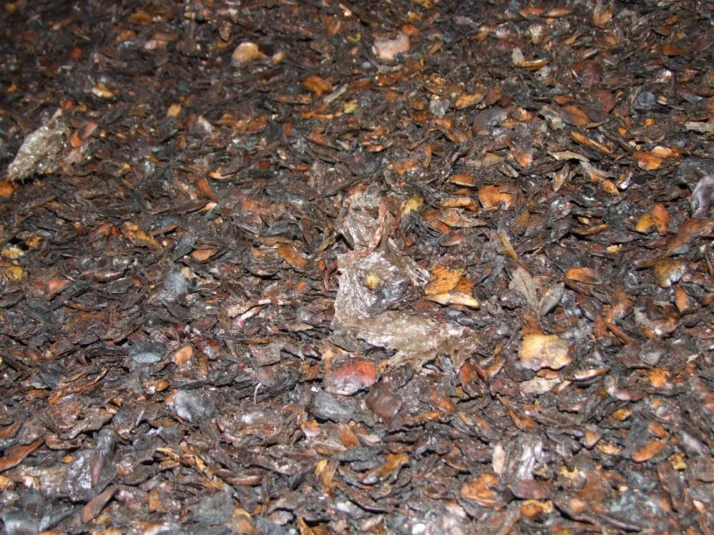 Cashew Nut Shell Waste from Vietnam for Fueling Purposes