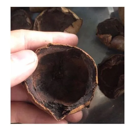 Natural Mangosteen Shell With Best Price +84 845 639 639 - Buy Natural ...