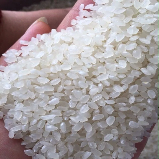 Top Quality Calrose Rice/ Japonica Rice/ Short Grain Round Rice 3% ...