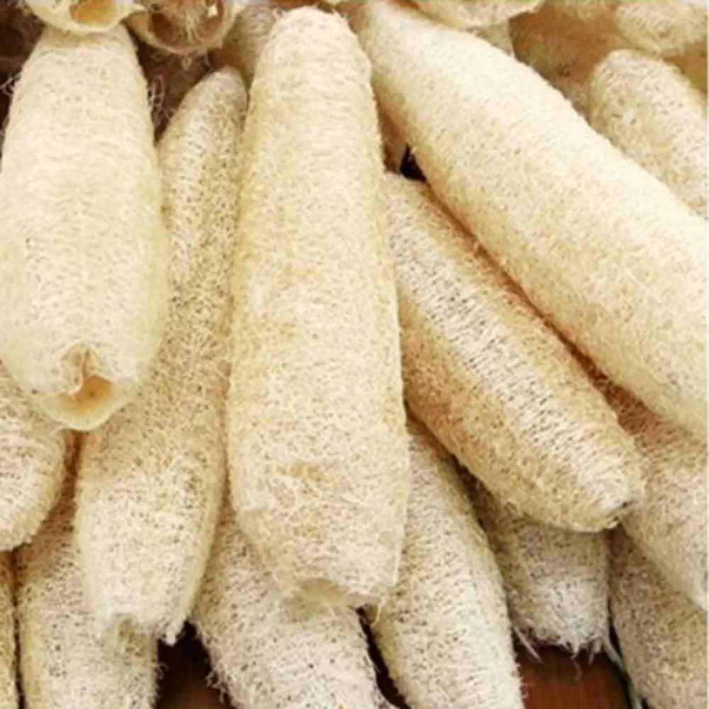 Natural Luffa Sponge - Exfoliating Body Cleaning Tool