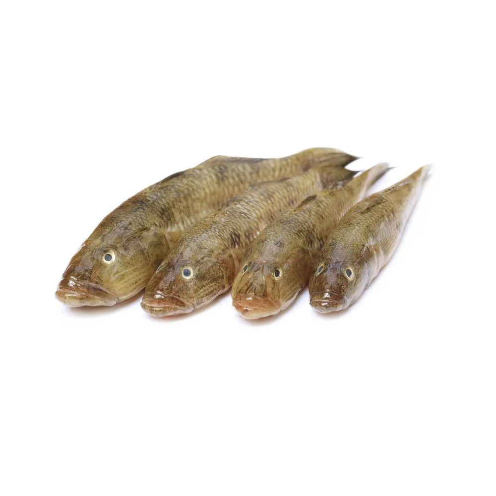 Quality Export Oriented Custom Frozen Basa Fish Butterfly - Buy Frozen ...