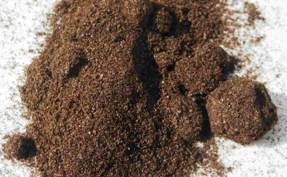 BAT GUANO FERTILIZER - Organic Compound for Plant Growth