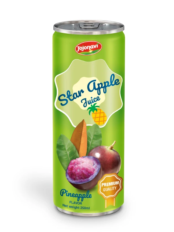 250ml Premium Quality Original Star Apple Juice Fruit Juice Wholesales ...