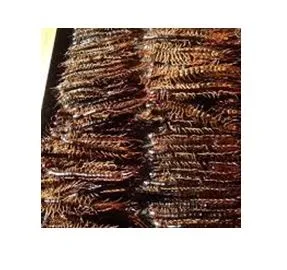 Vietnam Supplier Dried Centipede - High Quality & Cheap Price