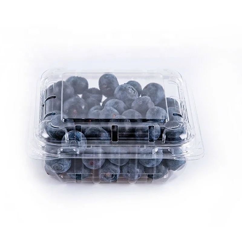 125G Disposable Plastic Clamshell for Blueberry Packaging