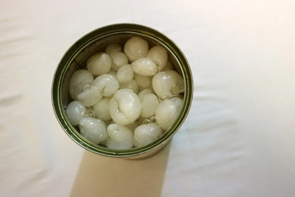 Canned Longan - Dried Longan New Crop Vietnam by Viet Delta