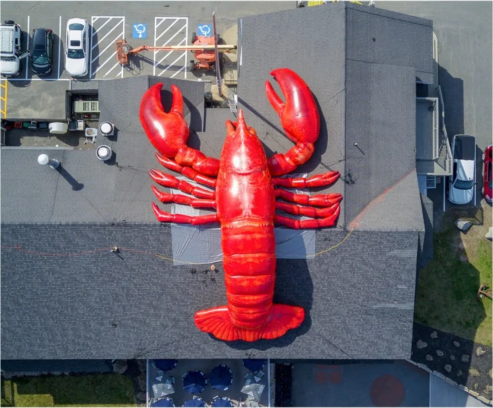 Wholesale Giant Advertising Inflatable Crayfish Model| Alibaba.com