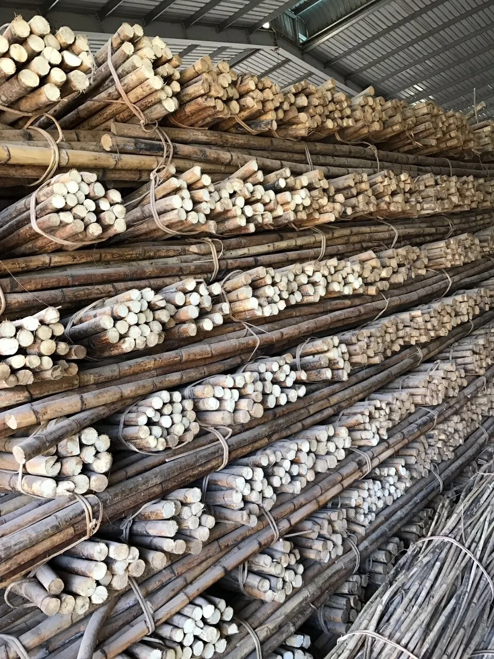 Rattan Cane Raw Material/ Raw Material Rattan With Shell/ PRODUCT ...