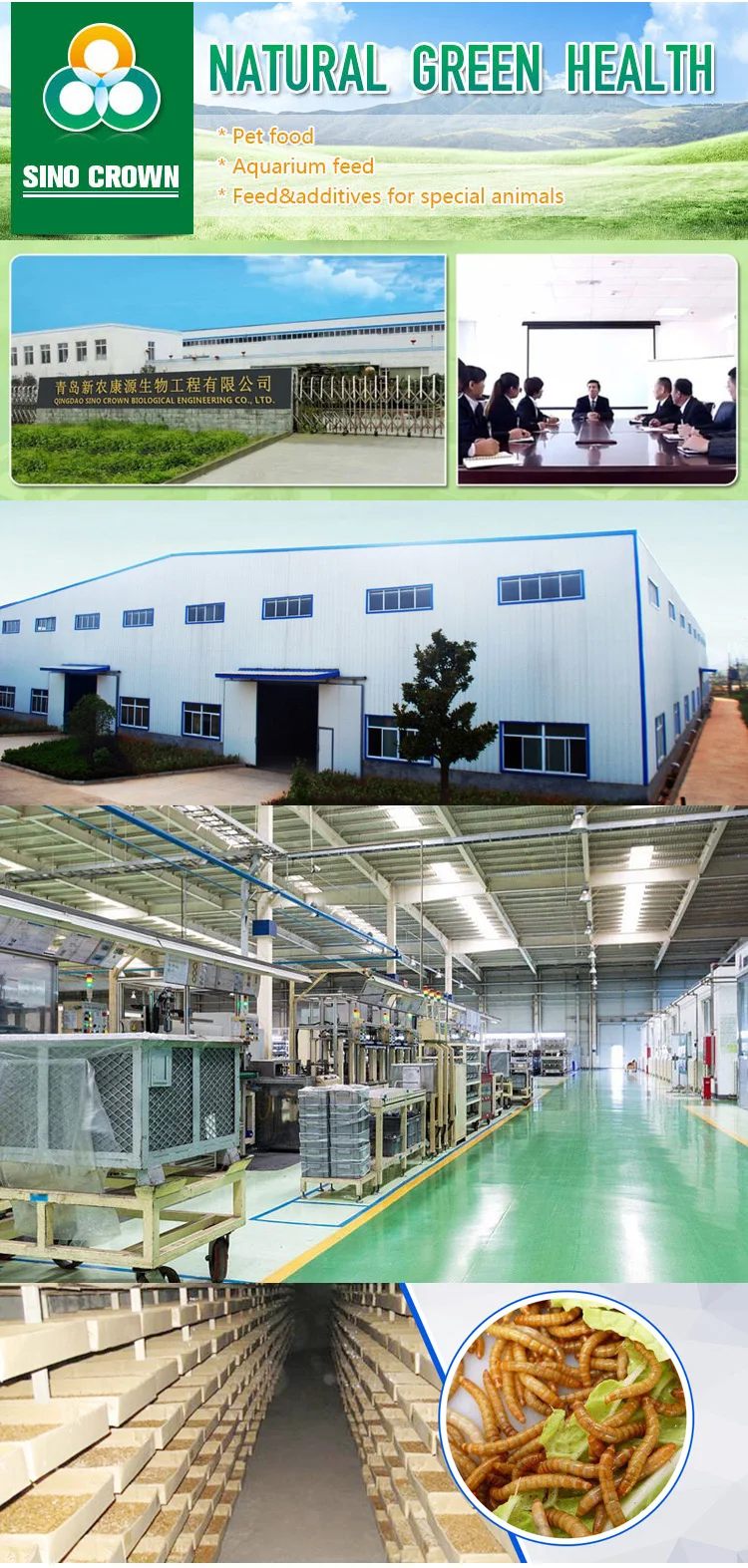 High Protein Dried Mealworms for All Pets - SINO CROWN