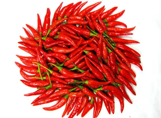 FRESH RED CHILI/ FRESH SMALL RED CHILI| Alibaba.com