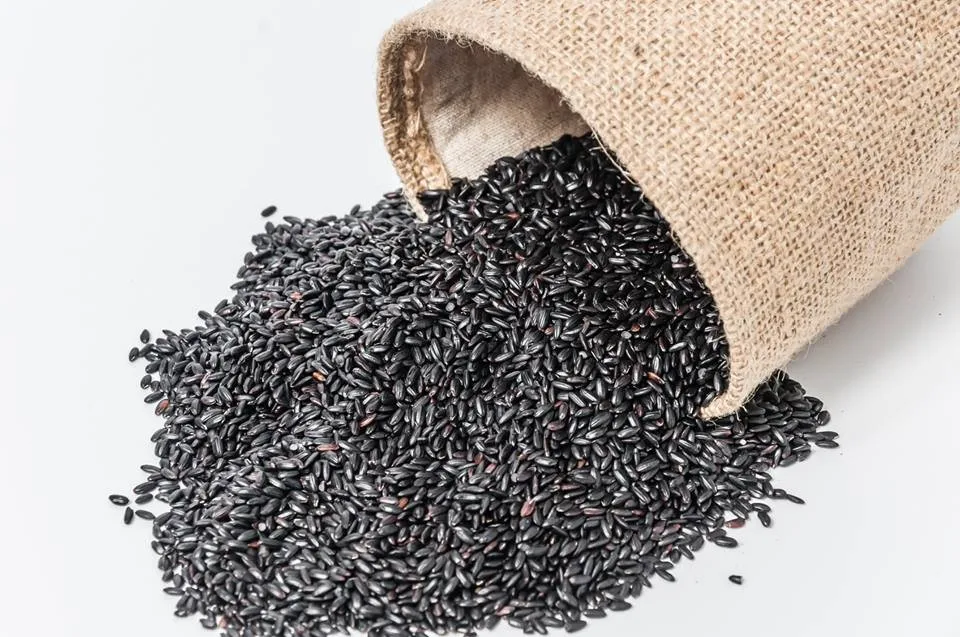 Specialty Black Sticky Rice/ Glutinous Rice/ Oryza Glutinosa - Vietnam ...
