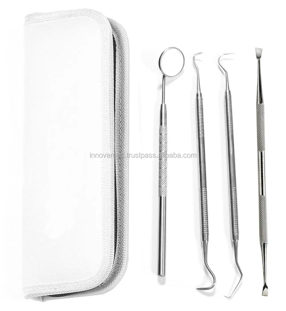 Dental Hygiene Instruments Kit/ 5 Pieces Dental Hygiene Kit With ...