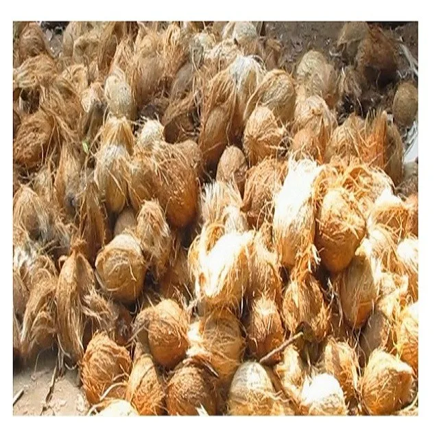 Full Husked Coconut Wholesalers. - Buy Coconut,Coconut Husk,Coconuts ...