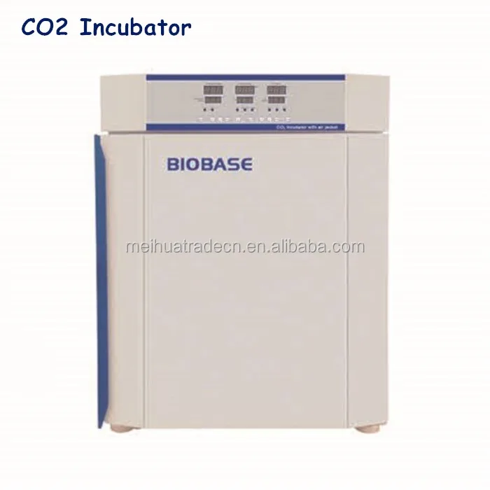 Biobase Microbiology Laboratory Equipment Temperature Automatic Control ...