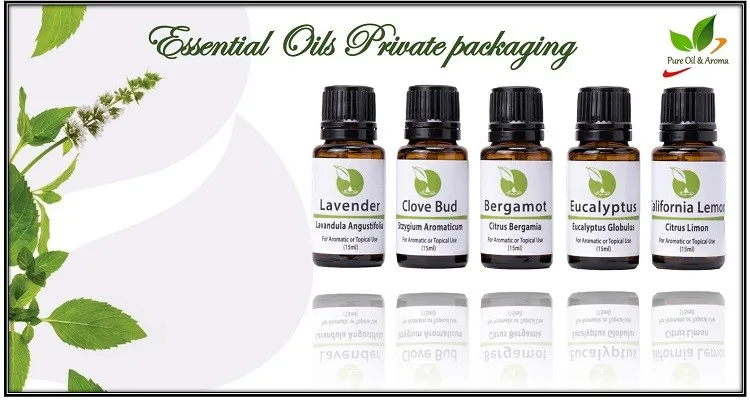 12 Packs Aromatherapy Essential Oils Private Label Gift Set 10ml ...