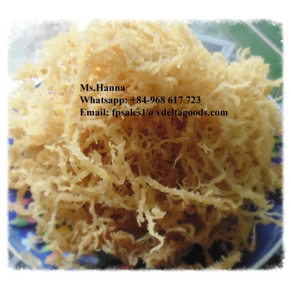 Spinosum Seaweed (eucheuma Cottonii) for Food Ingredients