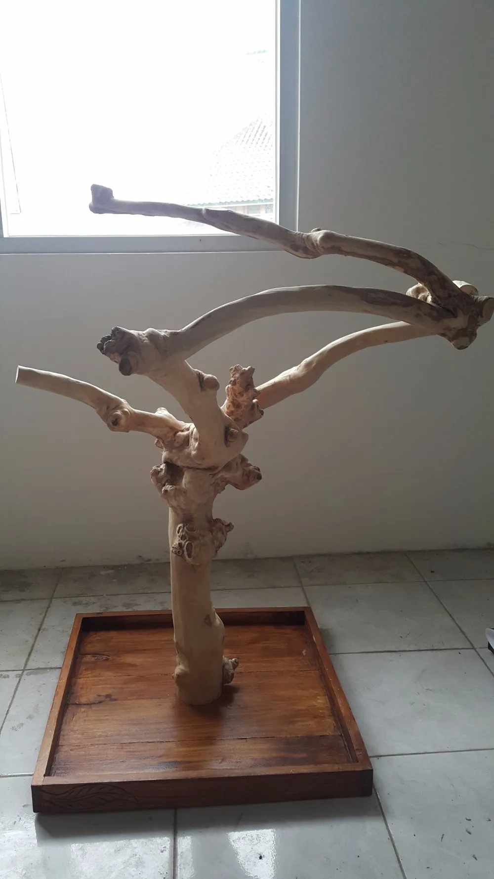 Java Wood Tree Play Stand,Javawood Coffee Tree Bird Perch,Multi ...