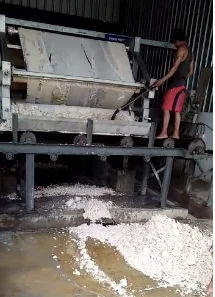 Tapioca Cassava Residue & TAPIOCA STARCH for Animal Feed