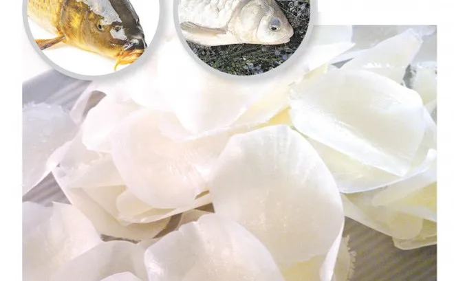 FISH SCALE/ FROZEN SKIN - Dried Fish Products from Viet Delta