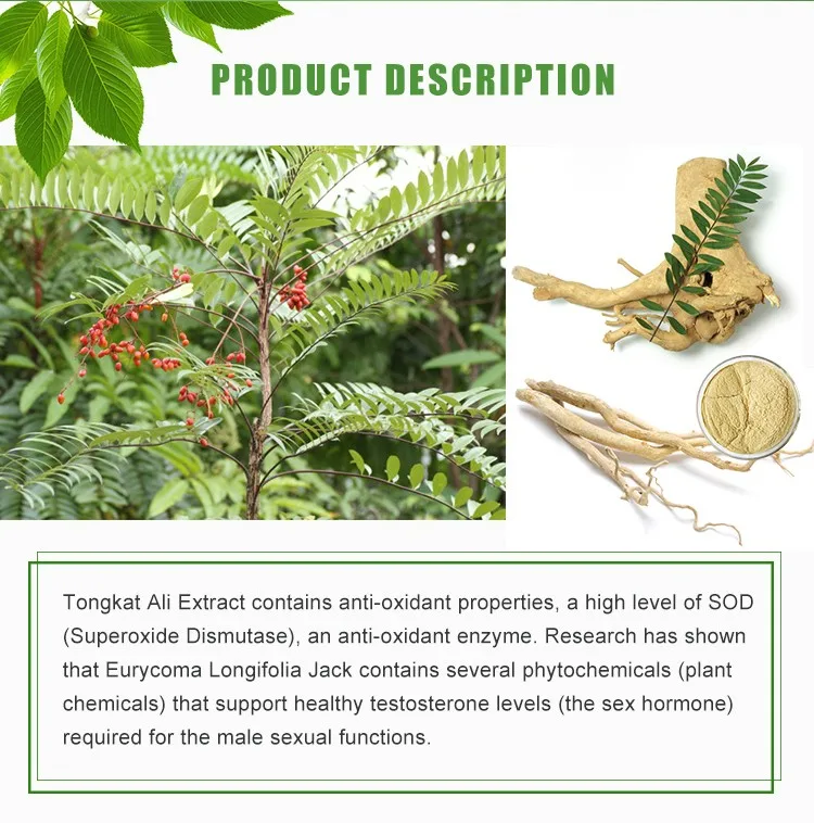 High Quality Eurycoma Longifolia Jack Root Extract Powder/tongkat Ali ...