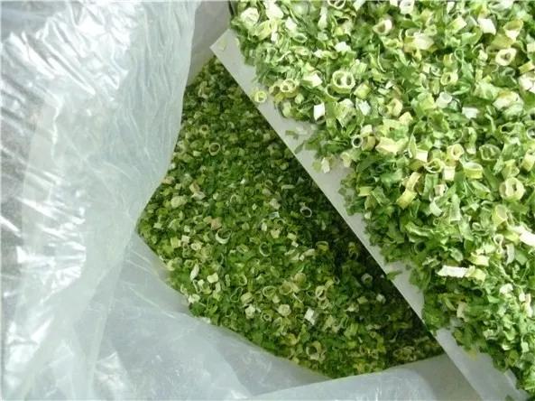 Freeze Dried Scallions With Good Quality Whatsapp +84 396986490 (annie ...