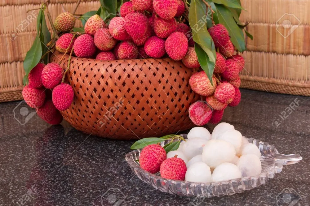 Dried Lychee - Sweet, High Quality Freeze Dried Lychee