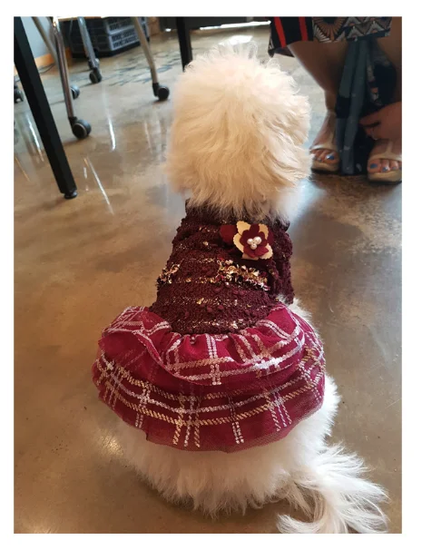 Dogmom High-End Luxury Jacket One Piece Luxury Dog Clothing Pet Fashion ...