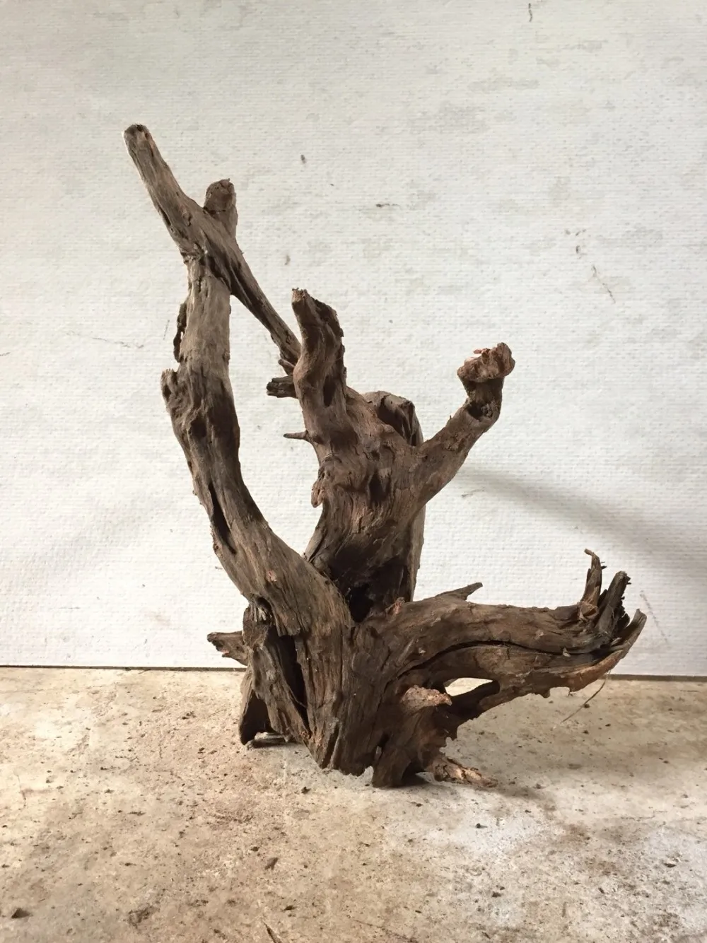 Erawan Design - Unique Tree Roots Driftwood for Aquariums