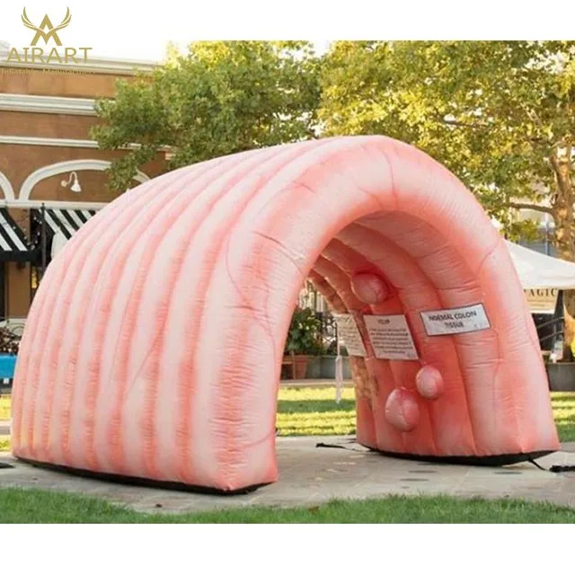 Giant Inflatable Colon,Custom Inflatable Organ Tunnel - Buy Inflatable ...