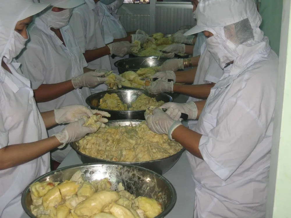 Premium Frozen Ri6 Durian IQF Durian from Vietnam