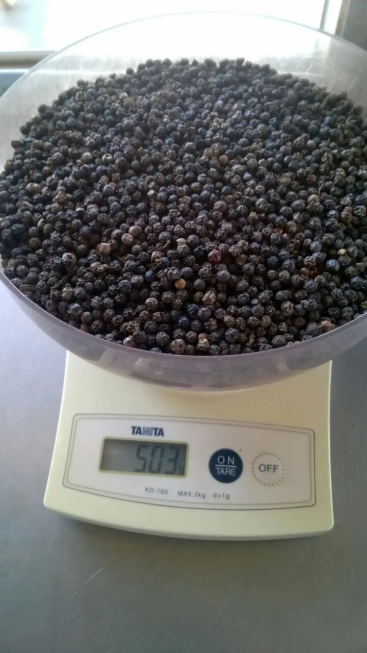 Vietnam Pinhead Pepper / Black Pepper Spent ( Whatsapp: 0084 164 9078 ...