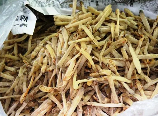 Whole Sales Dried Sipunculus Nudus - Pinka Dried Fish