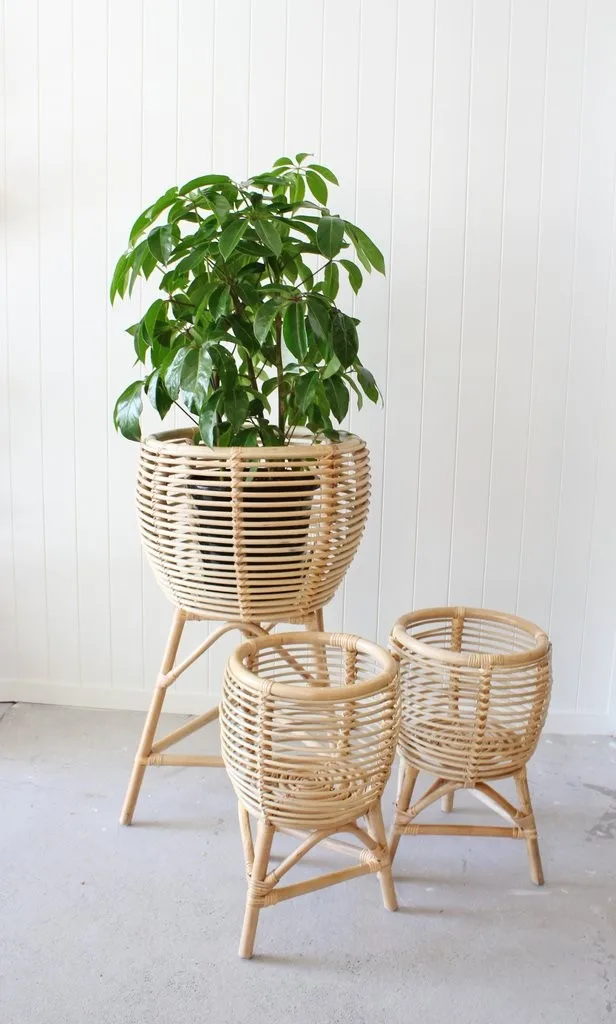 Handmade Rattan Plant Stands - Eco-Friendly Decor Solutions