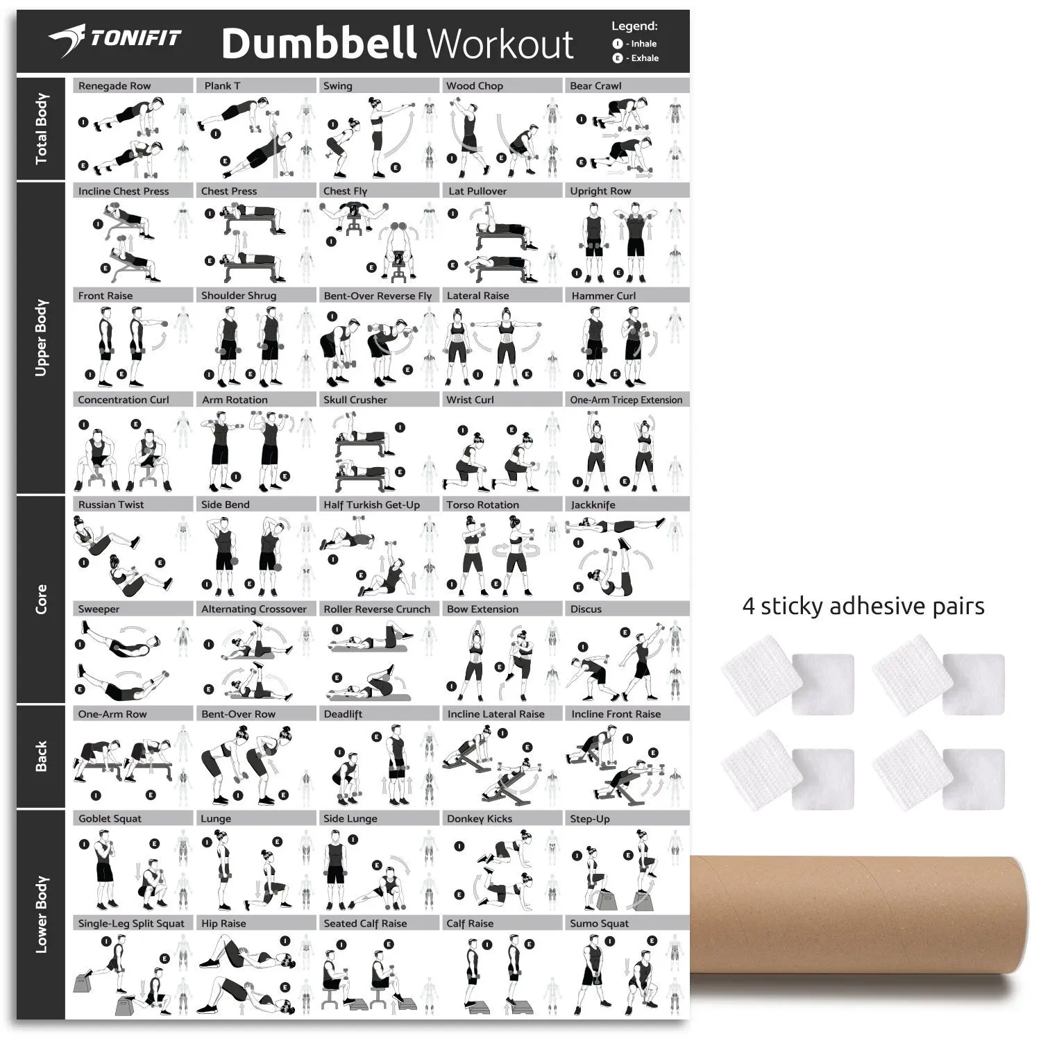 Urban Fitology Dumbbell Exercise Workout Poster For Men
