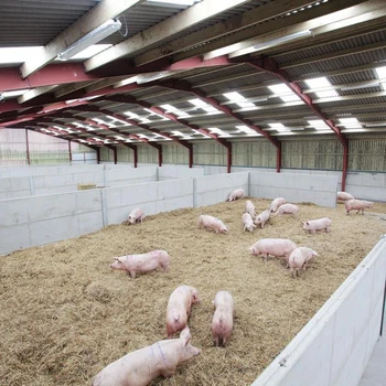 Prefabricated Piggery House - Buy Piggery House,Piggery House Design ...