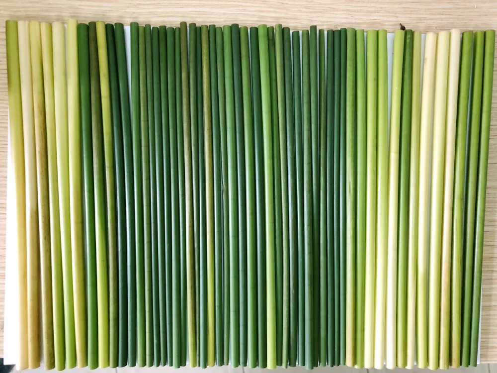 Best Reusable Eco Friendly Straw - Grass Drinking Straw-wheat Drinking ...
