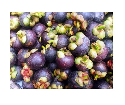 Natural Mangosteen Shell With Best Price +84 845 639 639 - Buy Natural ...