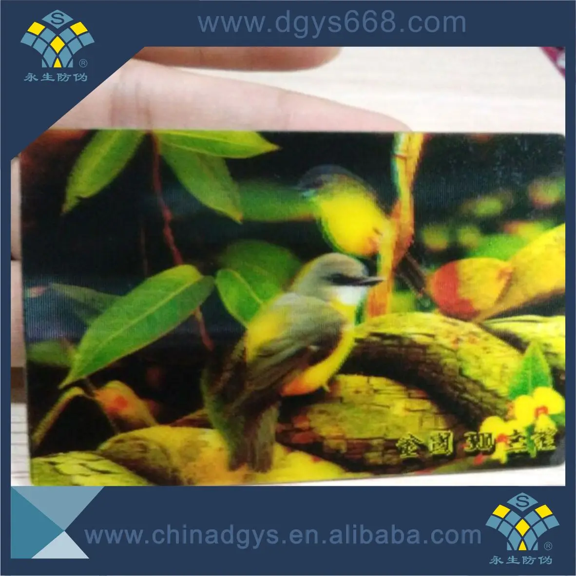 Customized Design Dynamic Grating Lenticular 3d PVC Card| Alibaba.com