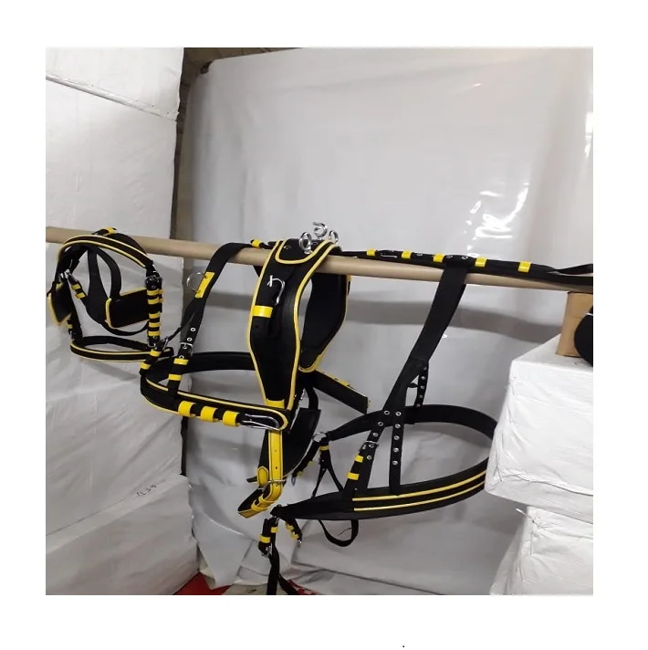 Premium Horse Harness Set Comfortable Leather & PVC Wholesale Suppliers ...