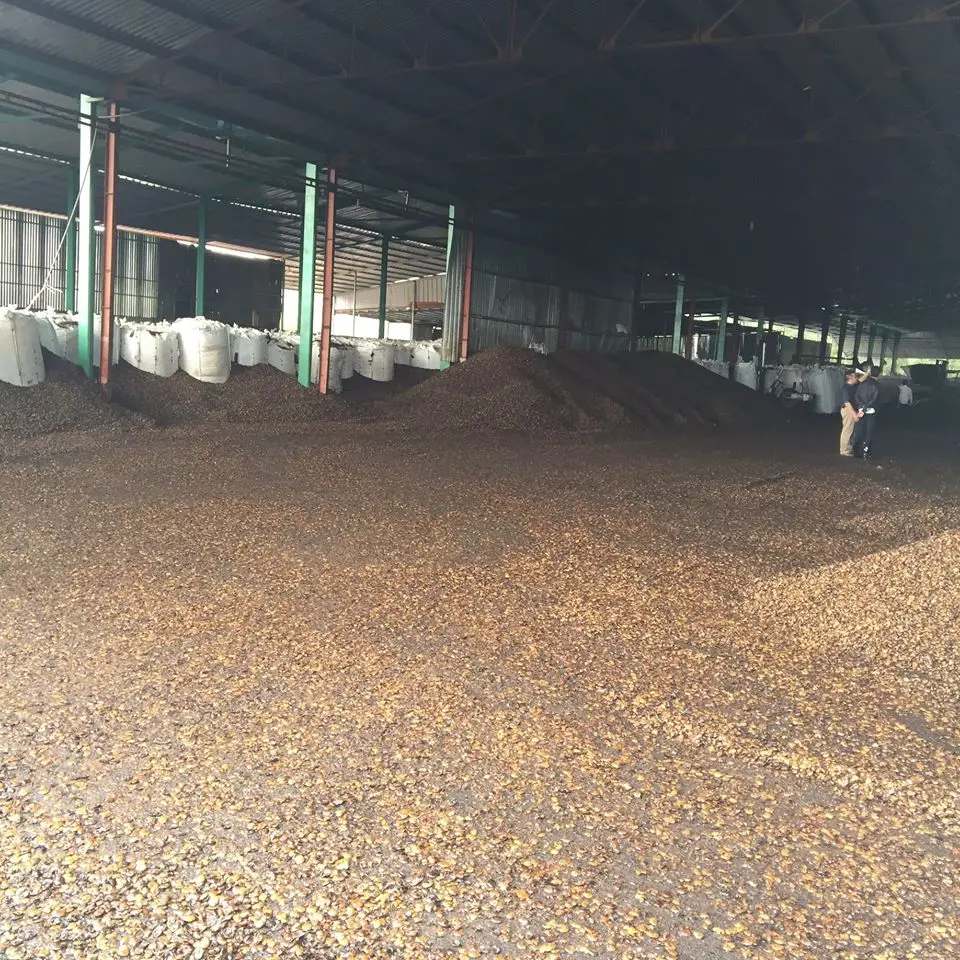 Vietnam Residue Cashew Nut Shell for Heating & Burning